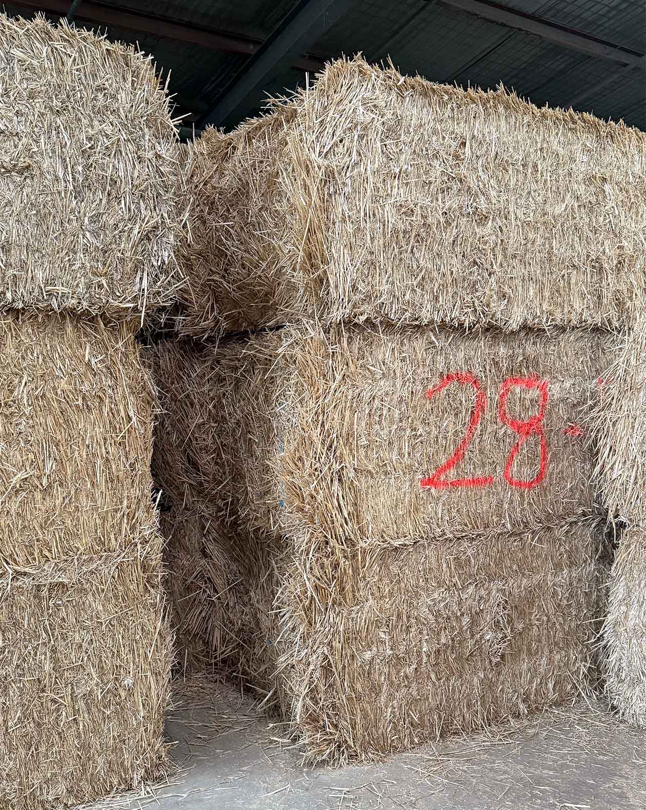 Durra Panel: Straw acoustic wall and ceiling panels | About Futures